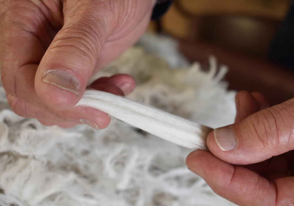 Longerenong College students experience the wool industry - Fox ...